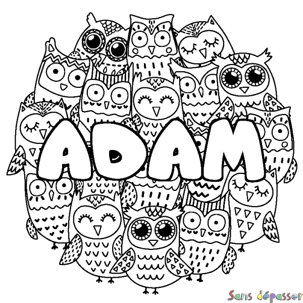 Coloriage prénom ADAM - décor Chouettes - Sans Dépasser
