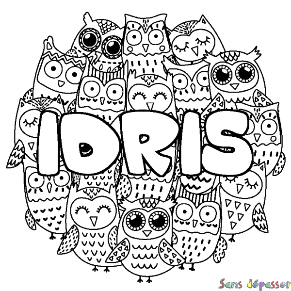 Coloriage prénom IDRIS - décor Chouettes - Sans Dépasser