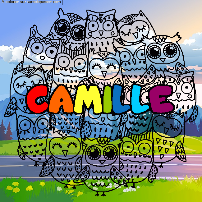 Dessin colorié : Coloriage prénom CAMILLE - décor Chouettes par un ...